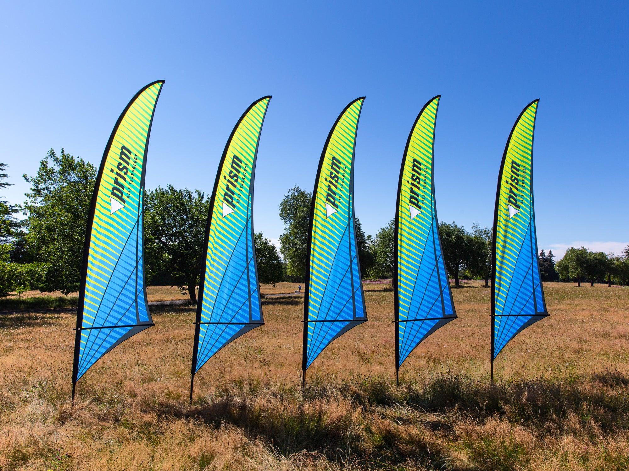 Prism Festival Banner – Prism Kites