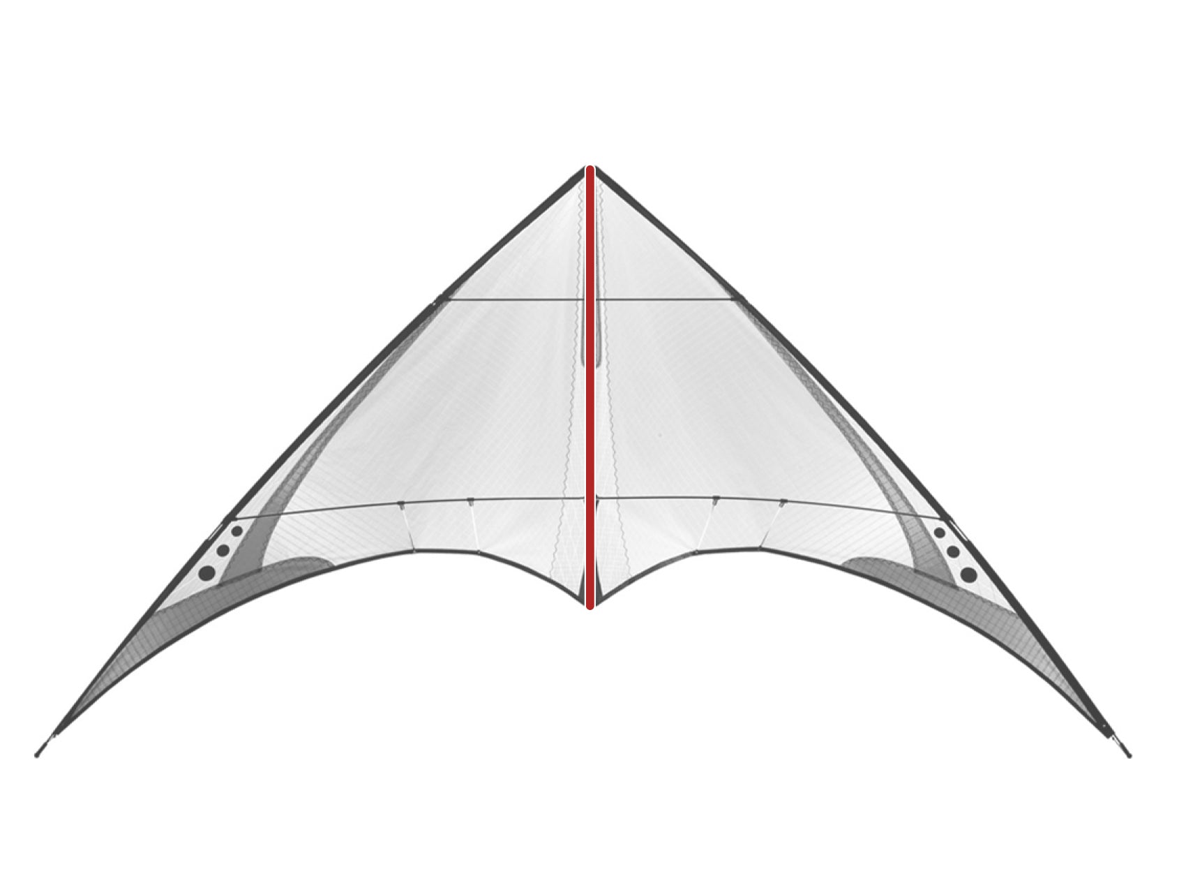 4-D Spine – Prism Kites